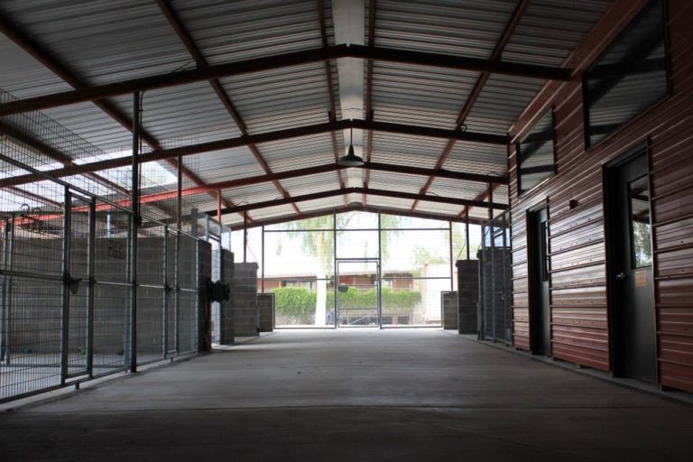 Facilities-Indoor-Kennel-Space - Phoenix Dog Training and Group ...