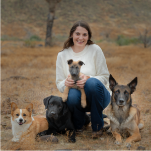 allie - Phoenix Dog Training and Group Obedience Classes
